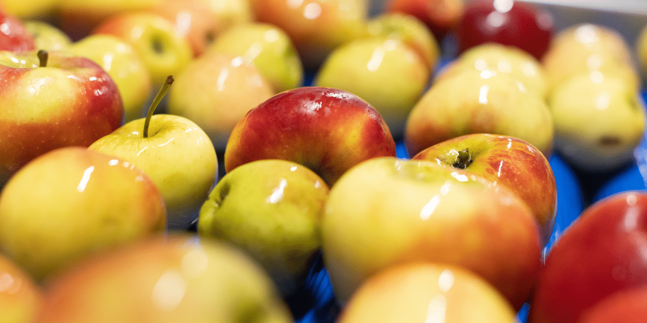 Foodservice - Hoogesteger