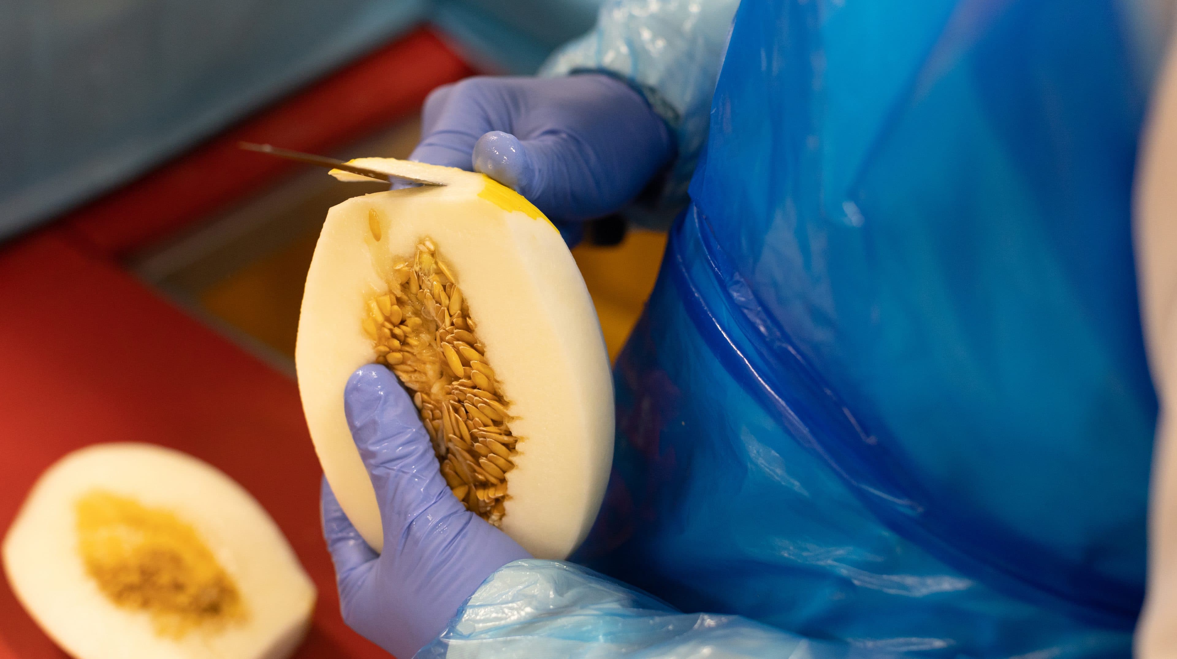 Contact - Hoogesteger