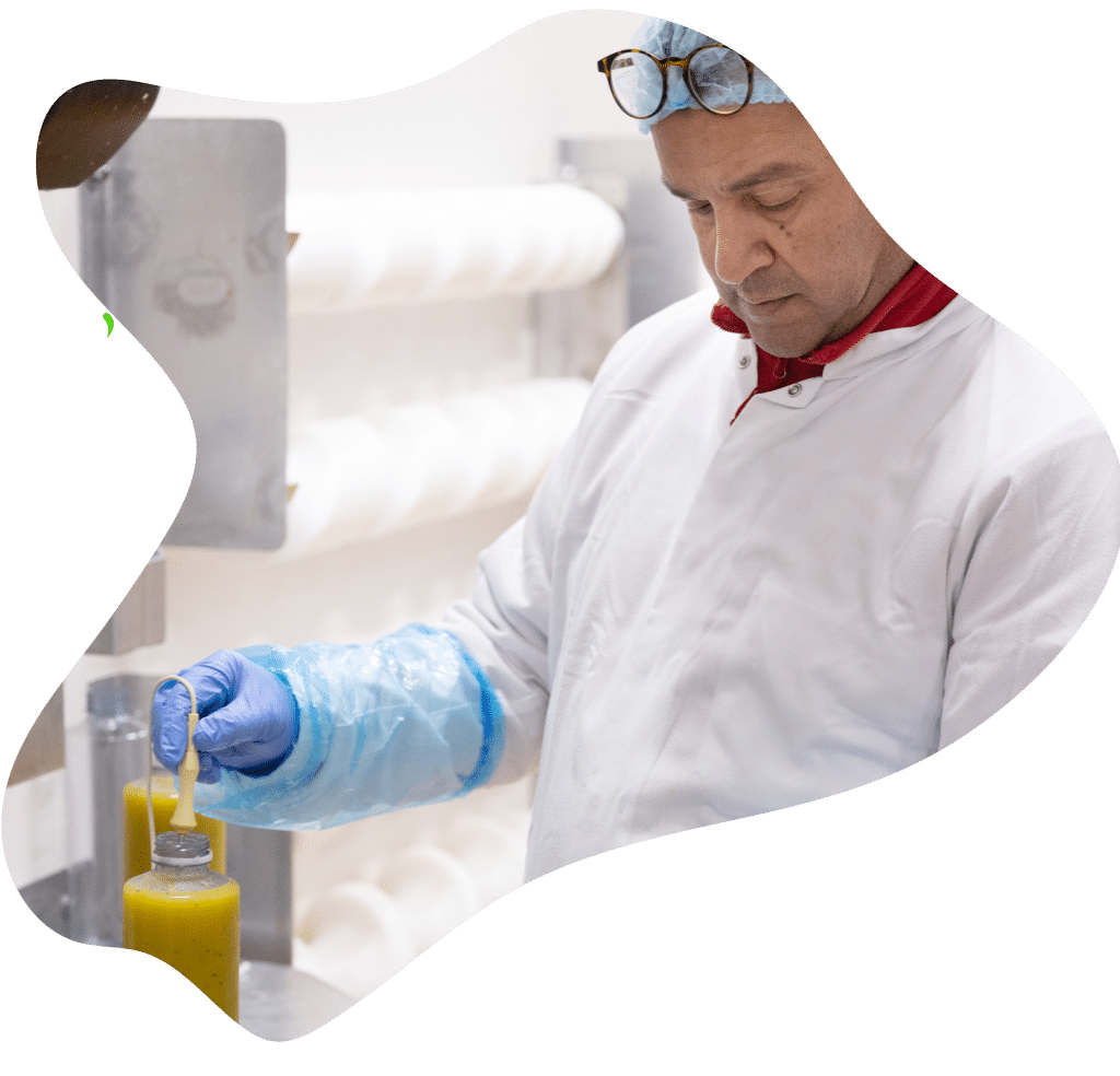 Proces - Hoogesteger